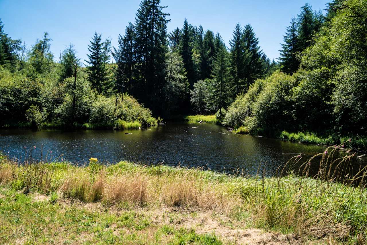 Eddyville/Sam's Creek Sealed Bid Offering (No Published Reserve)