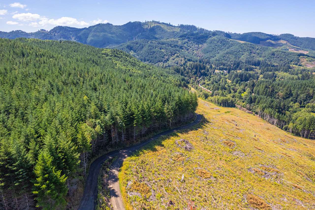 Eddyville/Sam's Creek Sealed Bid Offering (No Published Reserve)