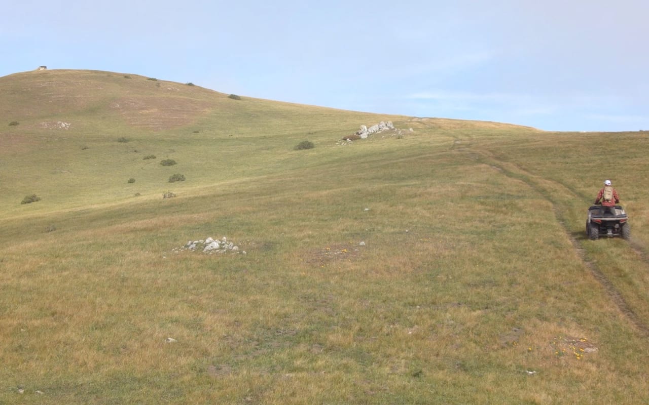 Gallery | Martinelli Ranch | Peter Maselli