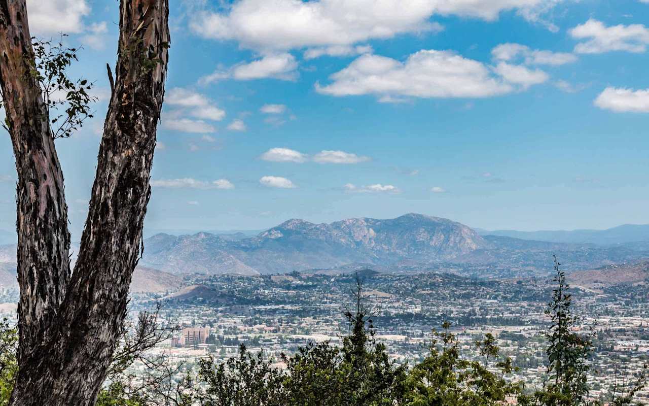 Full Service Real Estate Company