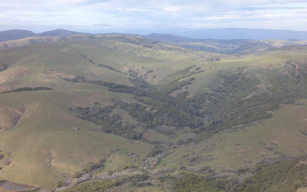 Gallery | Martinelli Ranch | Peter Maselli