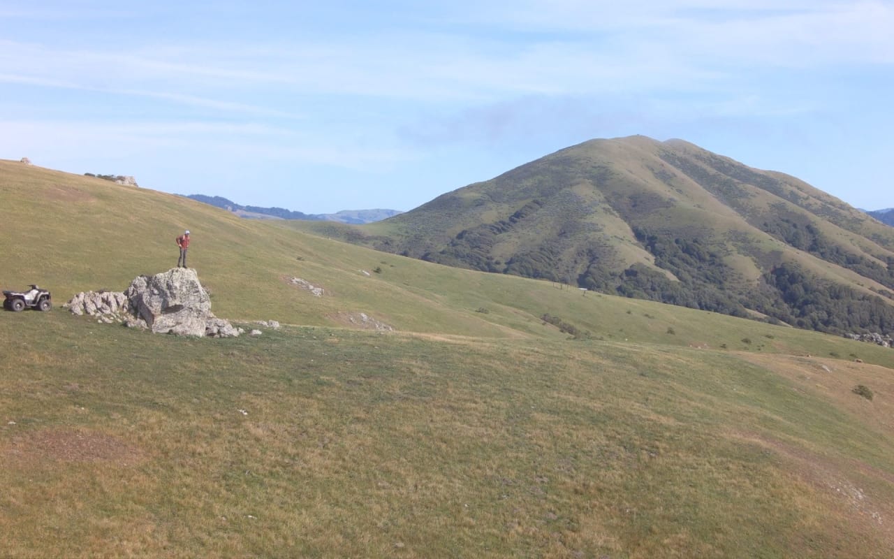 Martinelli Ranch | Peter Maselli