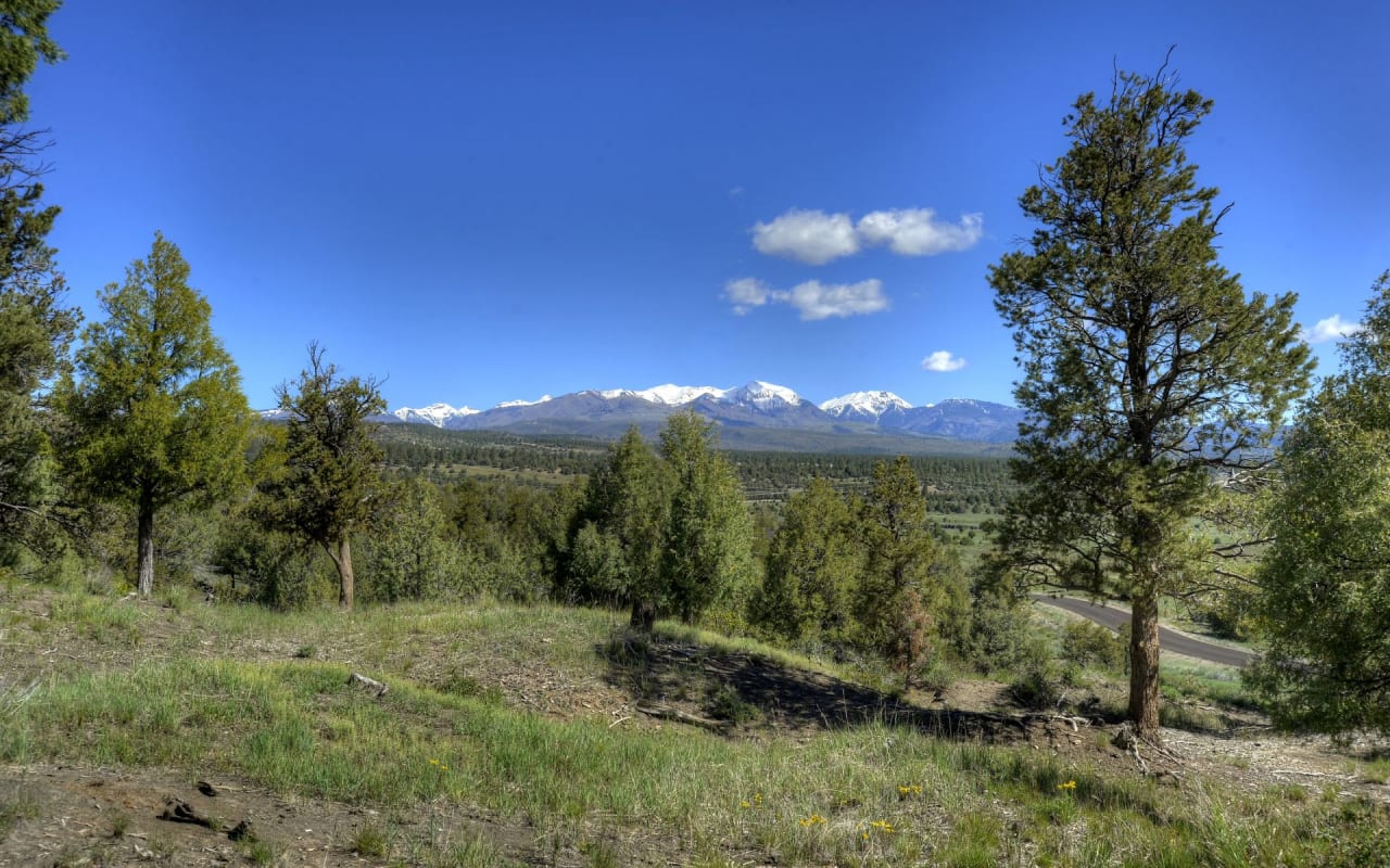 Hal Lott | Durango Real Estate Professional