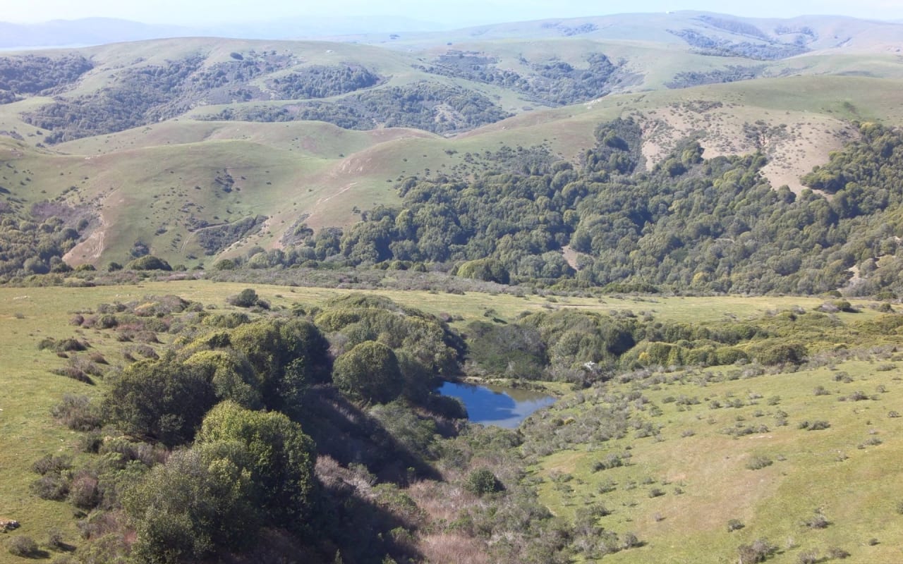 Martinelli Ranch | Peter Maselli