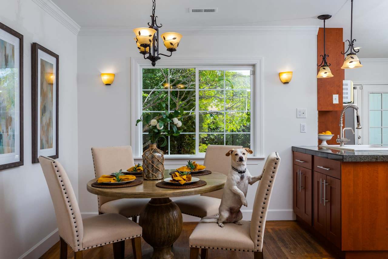 Meet Maddy | Bruce Lesser & Amanda Lesser | THE Dad/Daughter TEAM