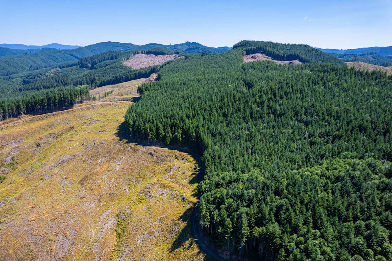 Eddyville/Sam's Creek Sealed Bid Offering (No Published Reserve)