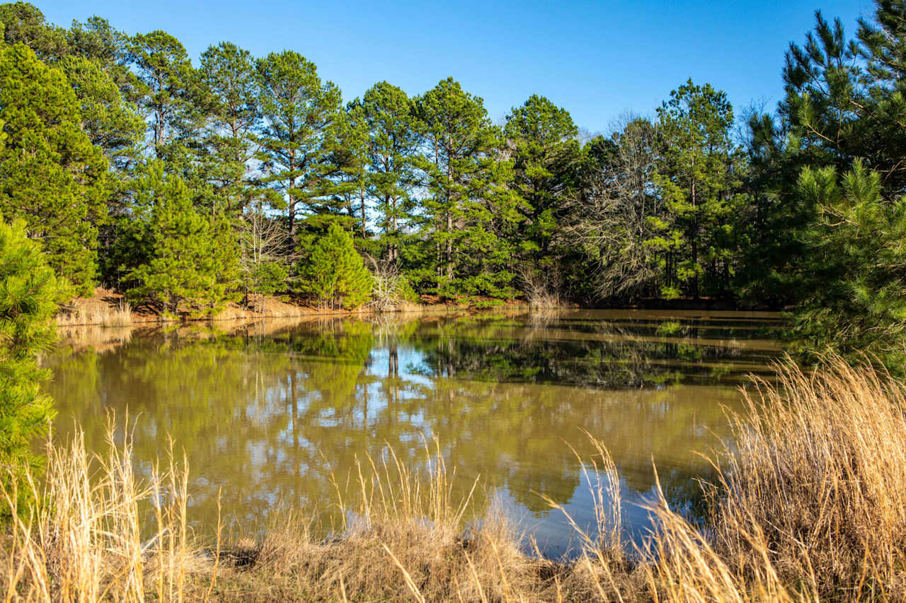 42 Acres CR 222