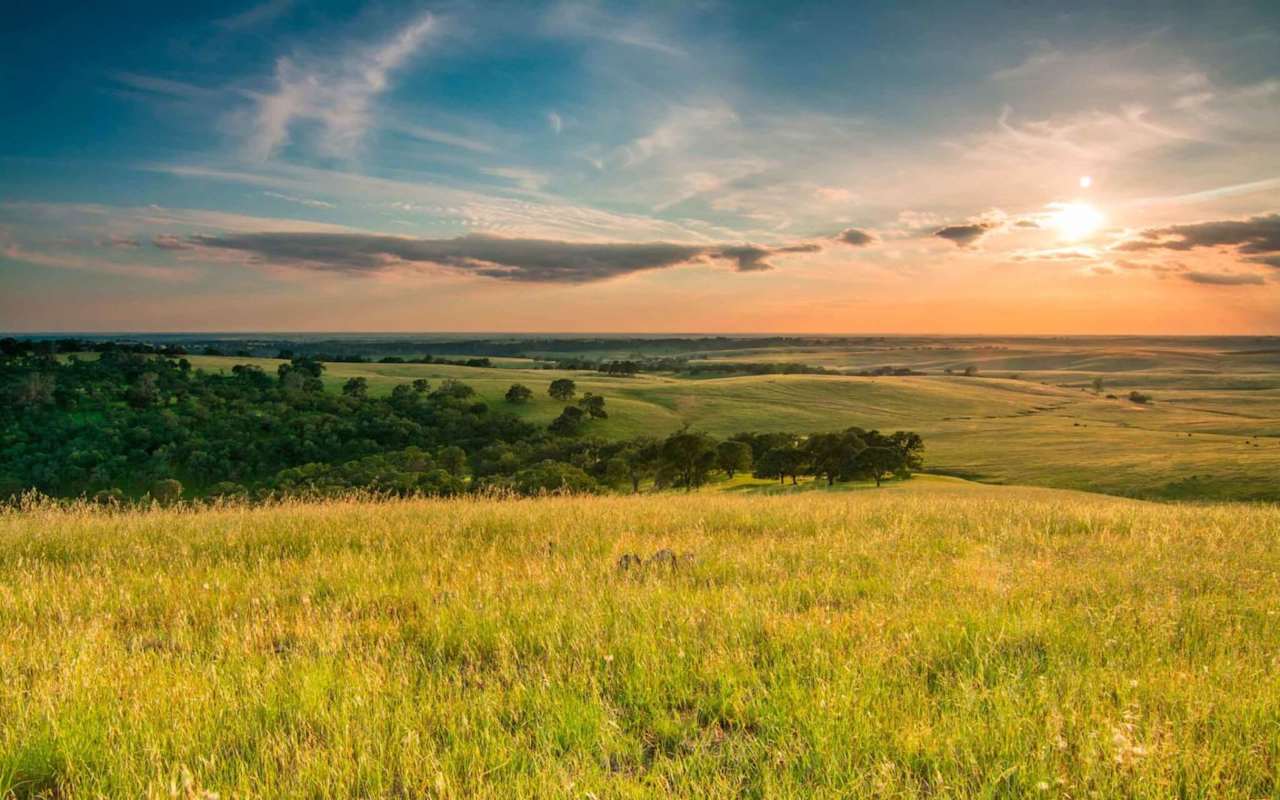 Shingle Springs - ICON Real Estate