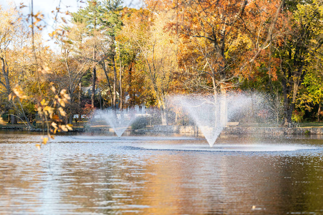 Family friendly activities in Darien Ct | Ellen McCue