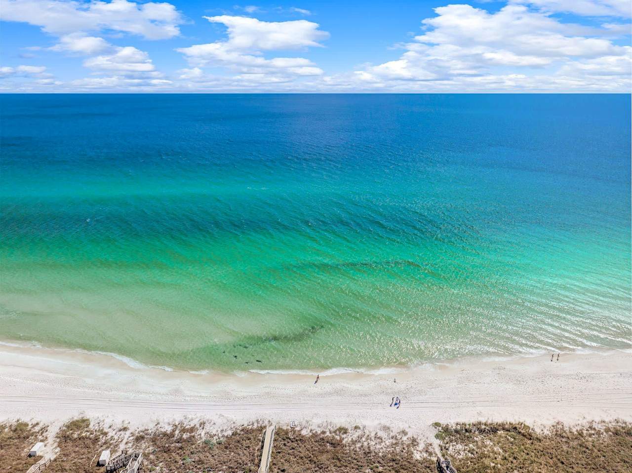 Condo & Home Market Highlights | January 2024 | Blog