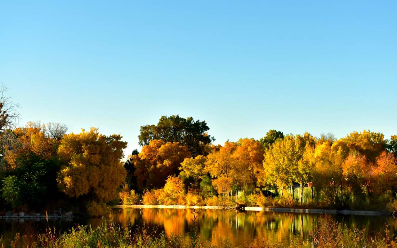 Best Parks in Denver | Elise Losasso