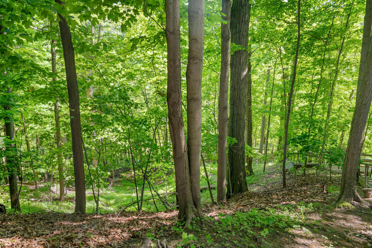 Sprawling Ravine Estate | Barry Cohen Homes