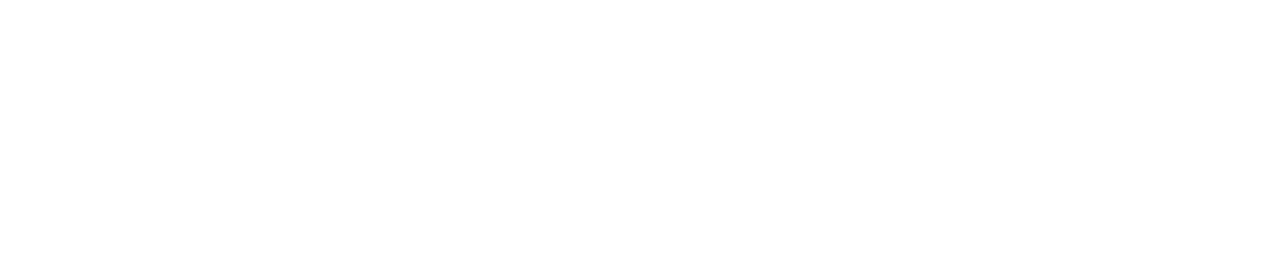 Bree Bornstein: Premier Rancho Santa Fe Real Estate Agent