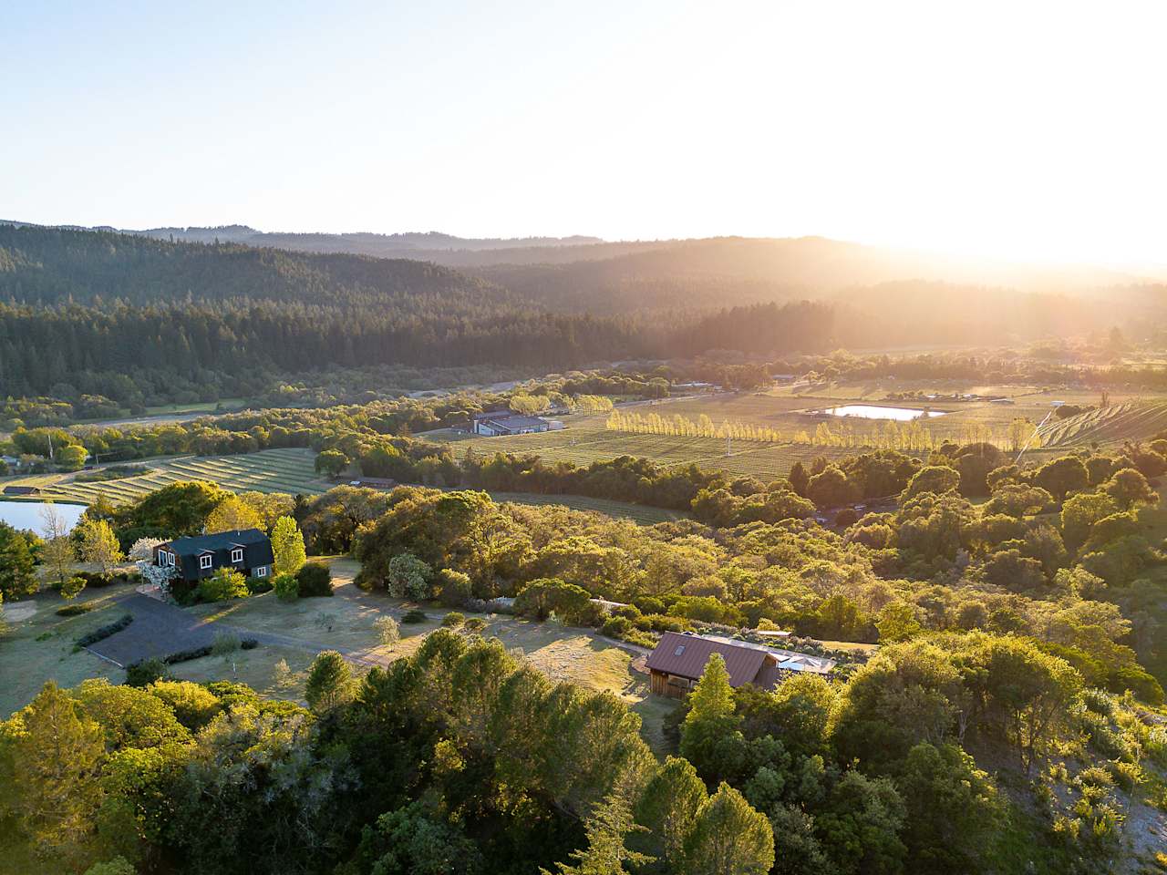 The C Ranch | Kevin McDonald