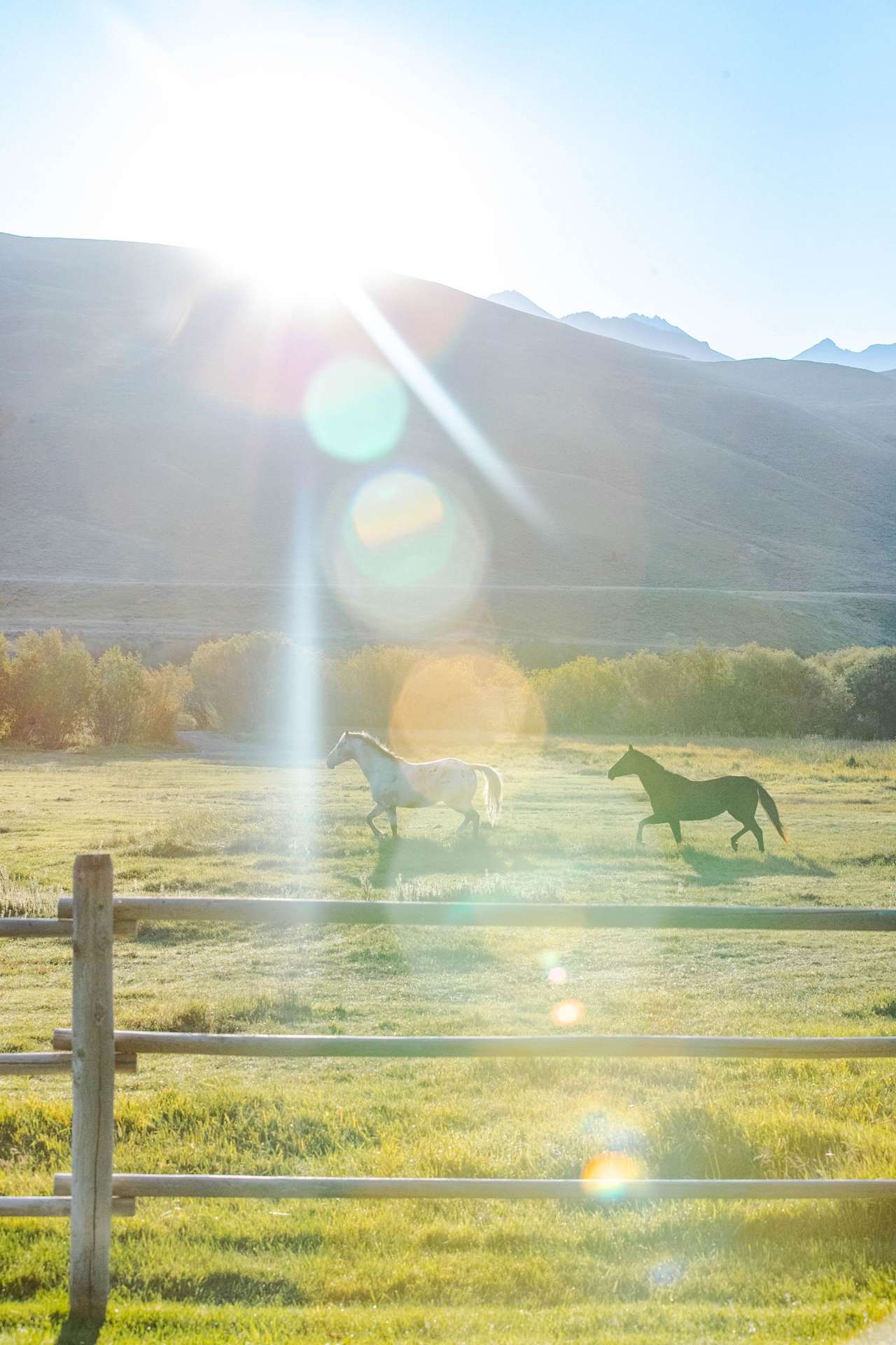 Dawn Myrvik | Sun West Ranch