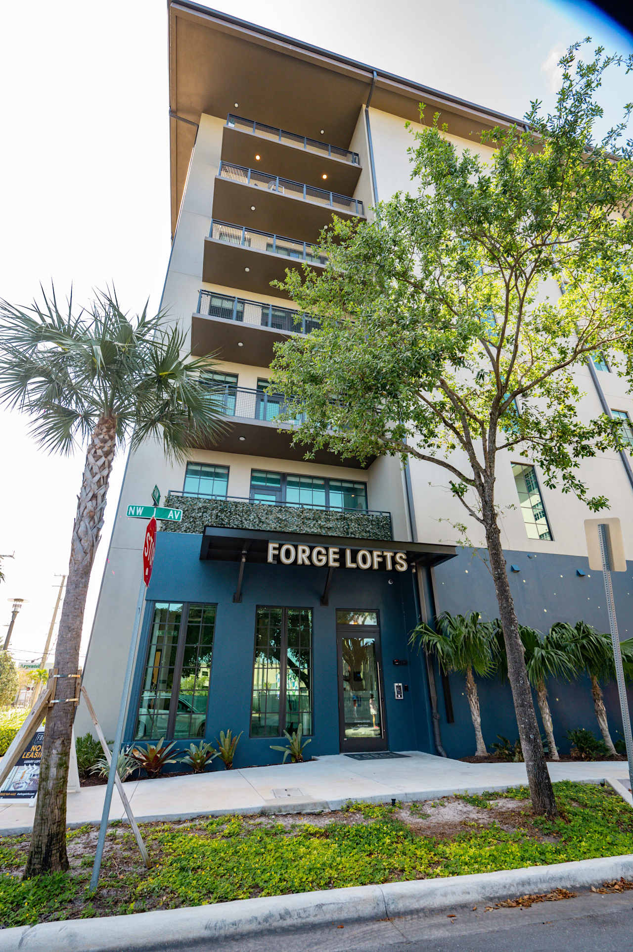 Avenue Lofts | Developments | Tim Singer