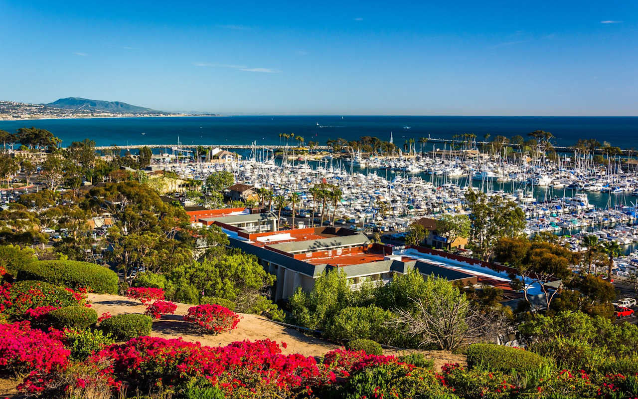 Nick Cardenas | California Real Estate Agent