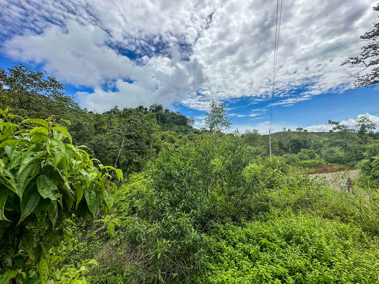 Eco Conservation Opportunity | 26 Acres of Costa Rican Nature