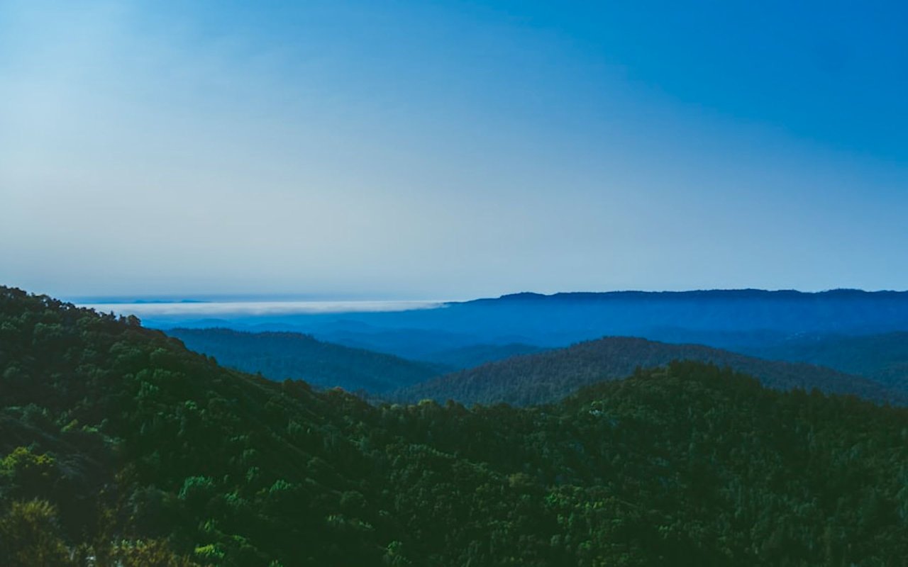 Everything You Need to Know About Moving to Los Gatos | Blog | Kelly ...