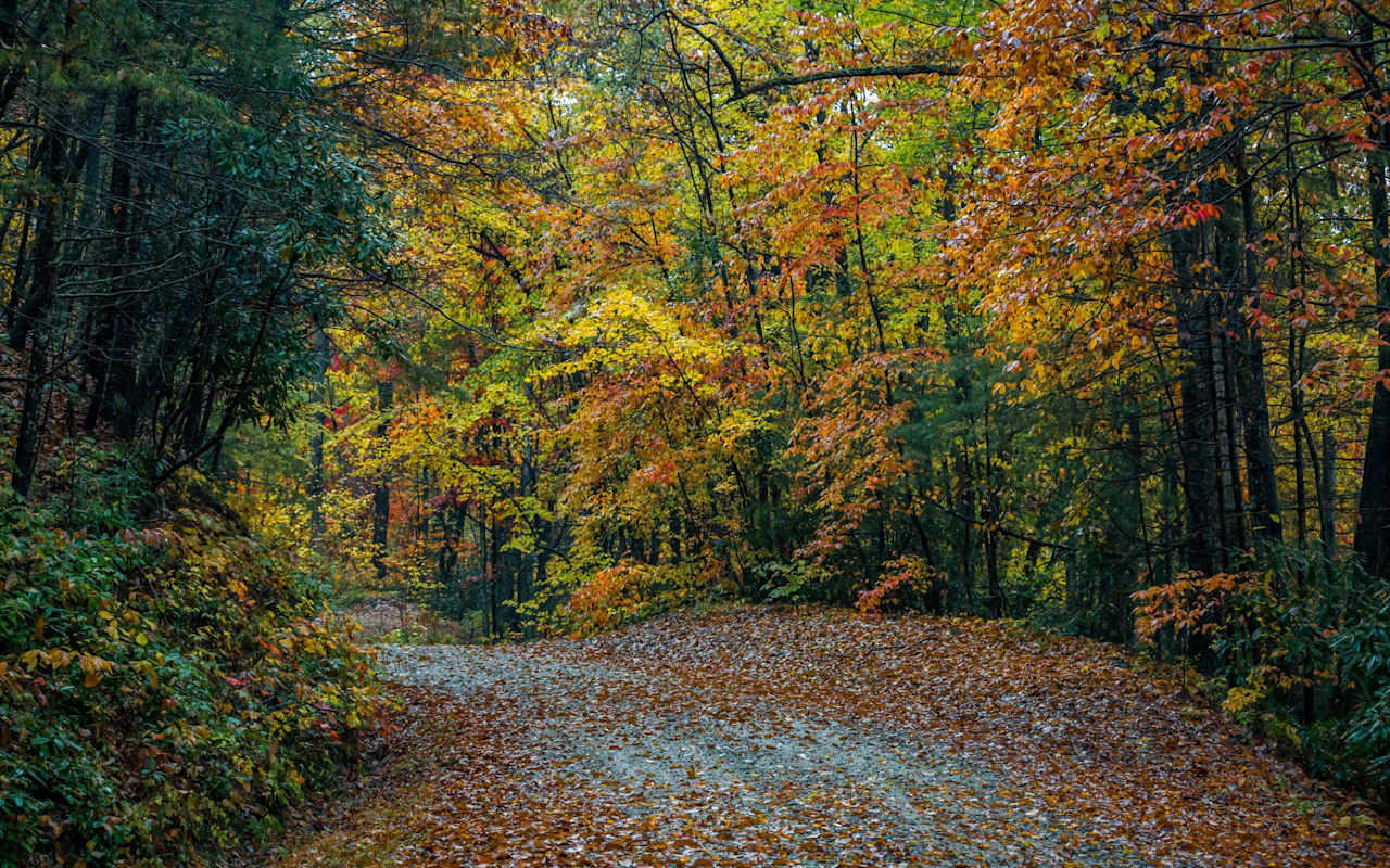 Lenoir | Community Guide