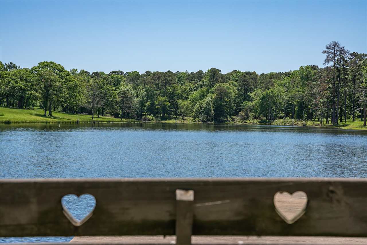 Delanee Clark | Top Terrell Real Estate Agent