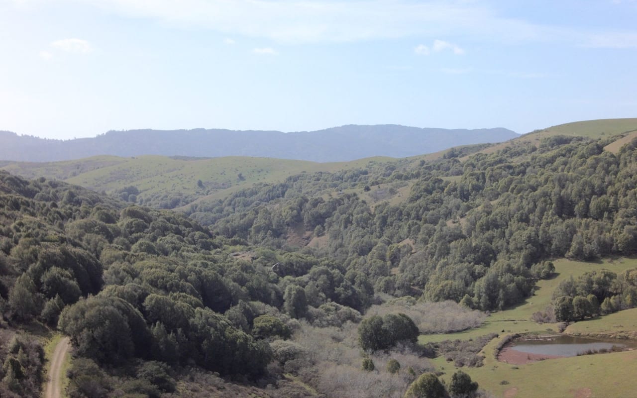 Martinelli Ranch | Peter Maselli