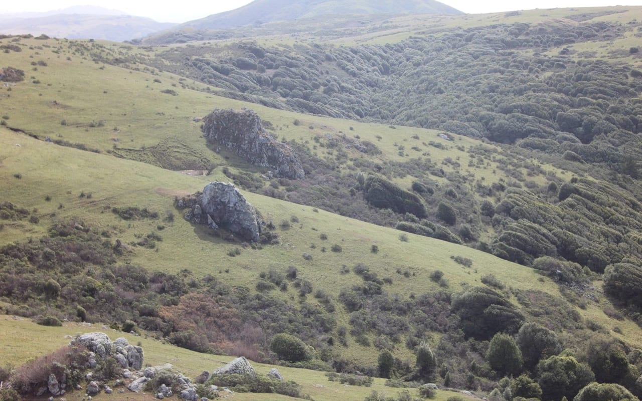 Martinelli Ranch | Peter Maselli