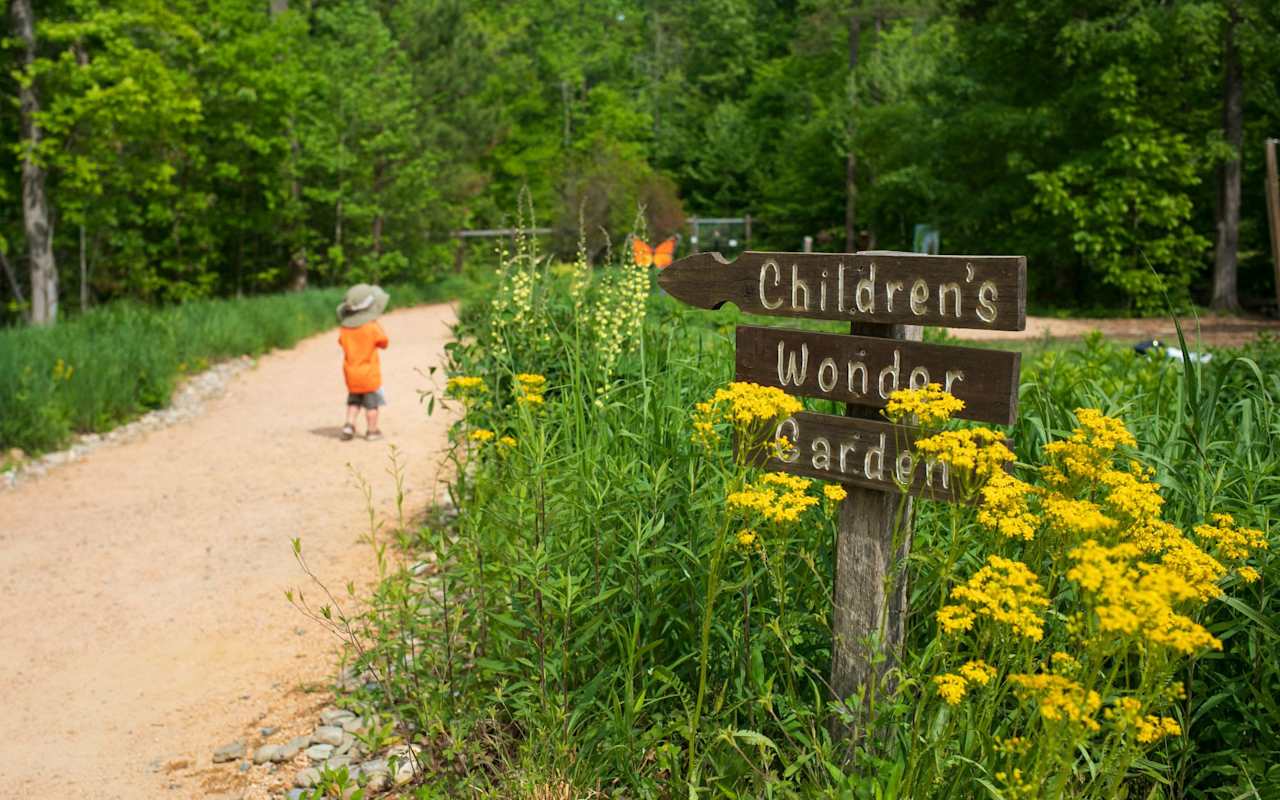 Chapel Hill | Neighborhood Guide