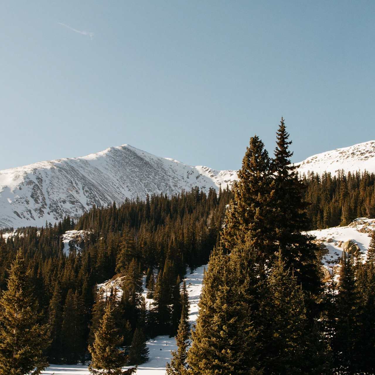 Bear Valley | Neighborhood Guide