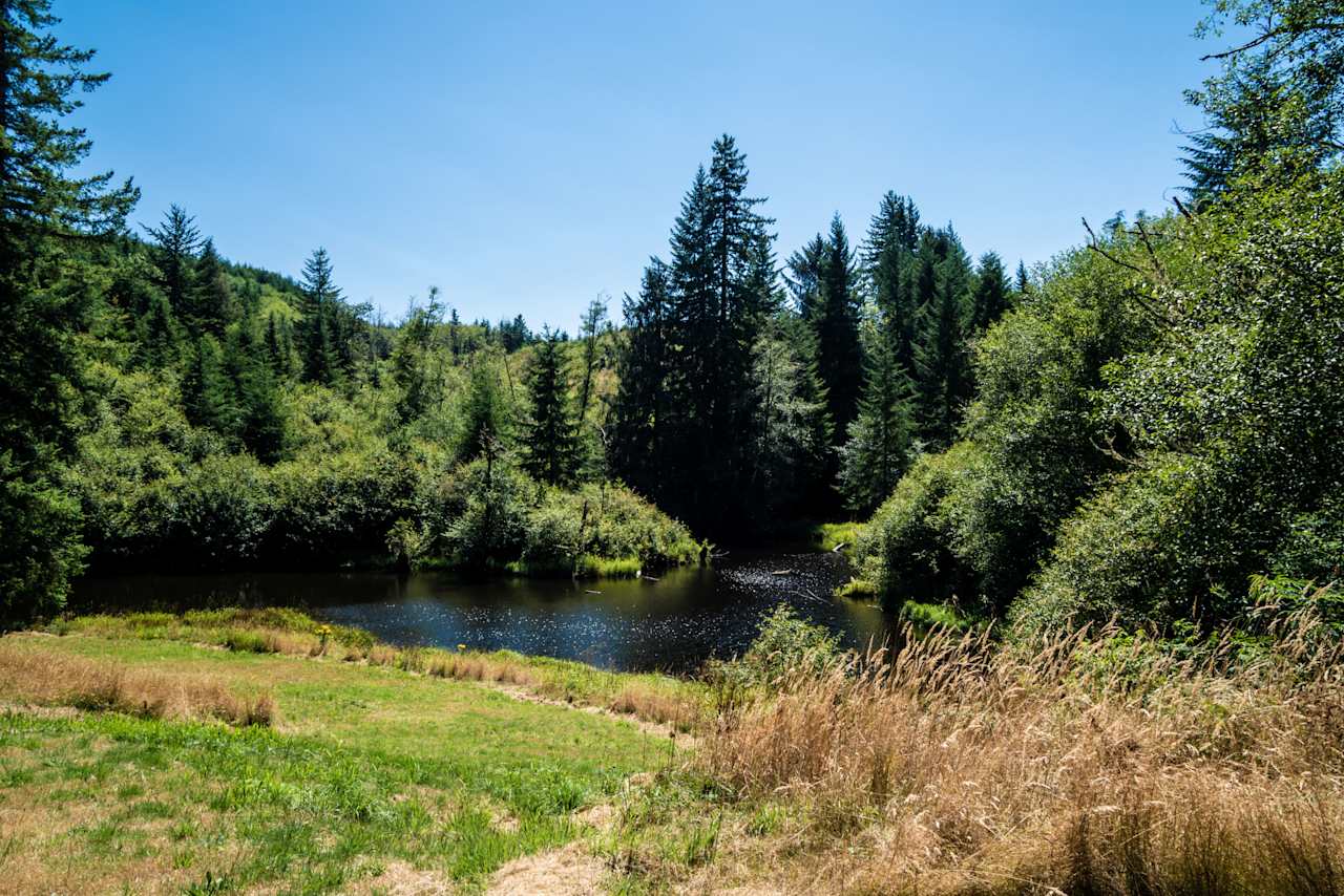 Eddyville/Sam's Creek Sealed Bid Offering (No Published Reserve)