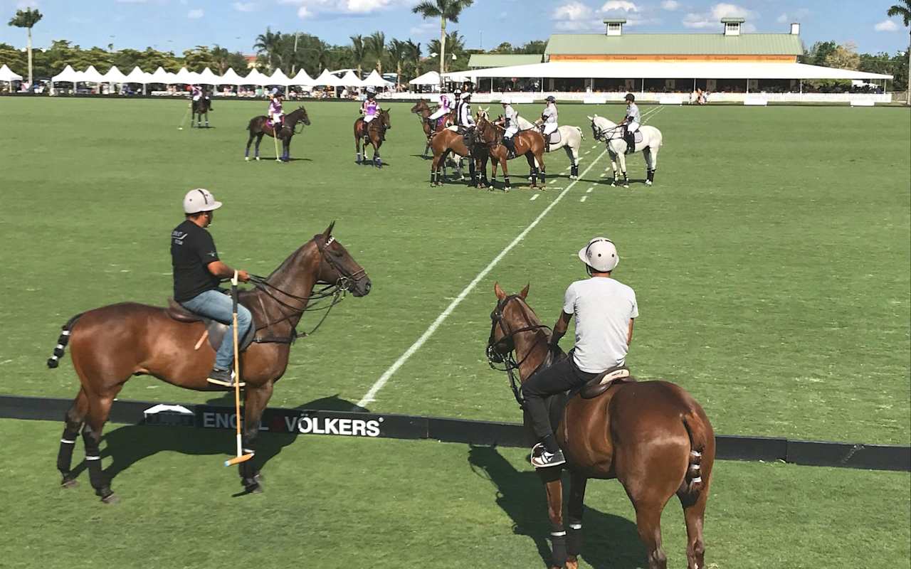 What to Wear to Polo | Blog