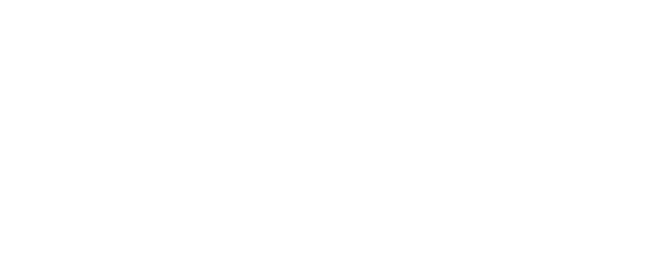About Sally Daneshjou | SD Luxury Properties | Austin Real Estate Experts