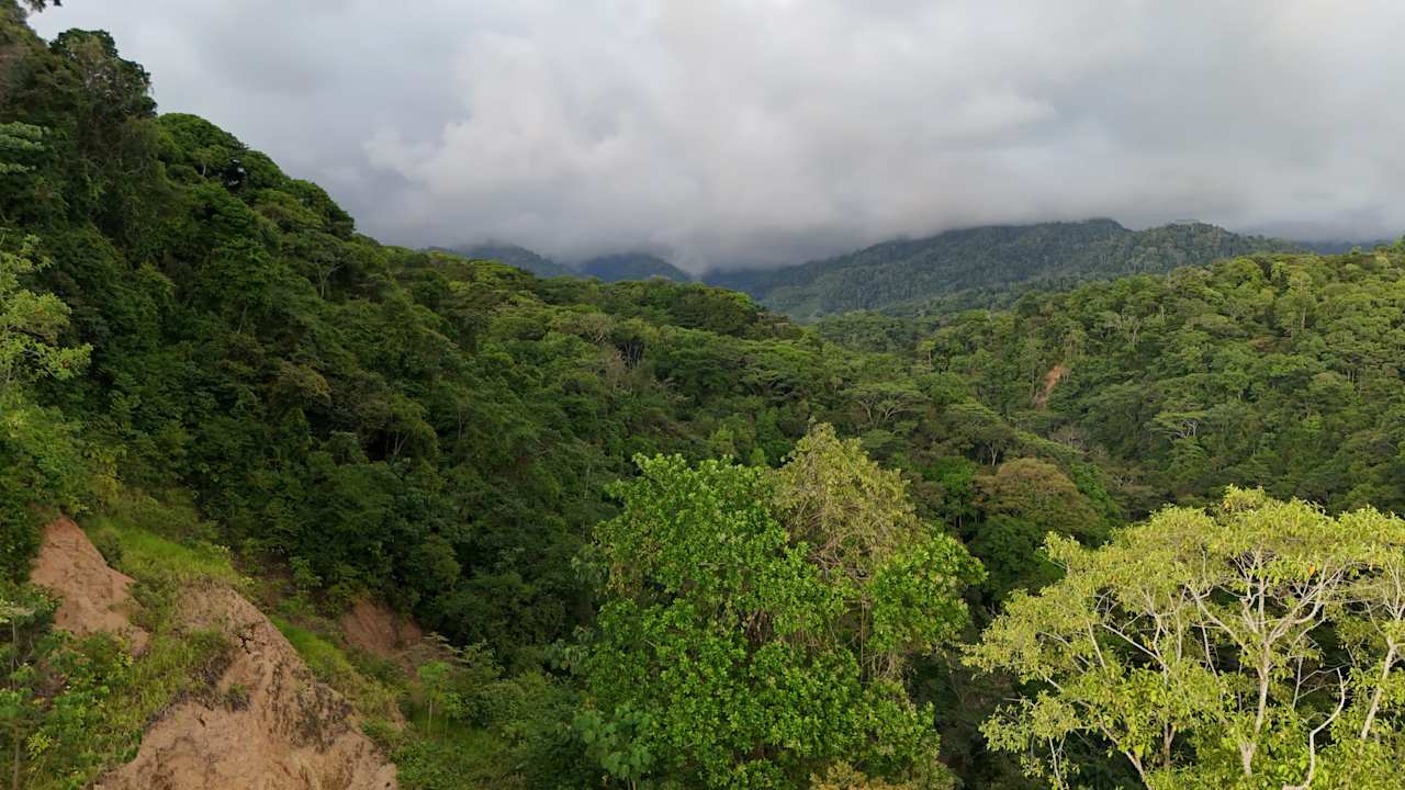 Breathtaking 5-Acre Ocean-View Property in Ojochal, Punta Mala - Your ...
