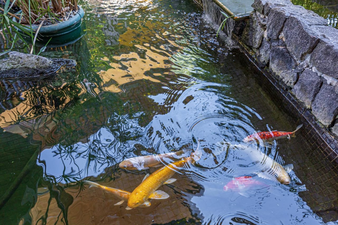 Luxury Ocean View Estate in Costa Rica - Casa Ramon: Your Exclusive Retreat