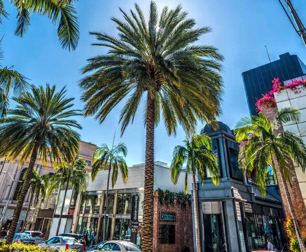 About Steve Frankel | Beverly Hills Real Estate