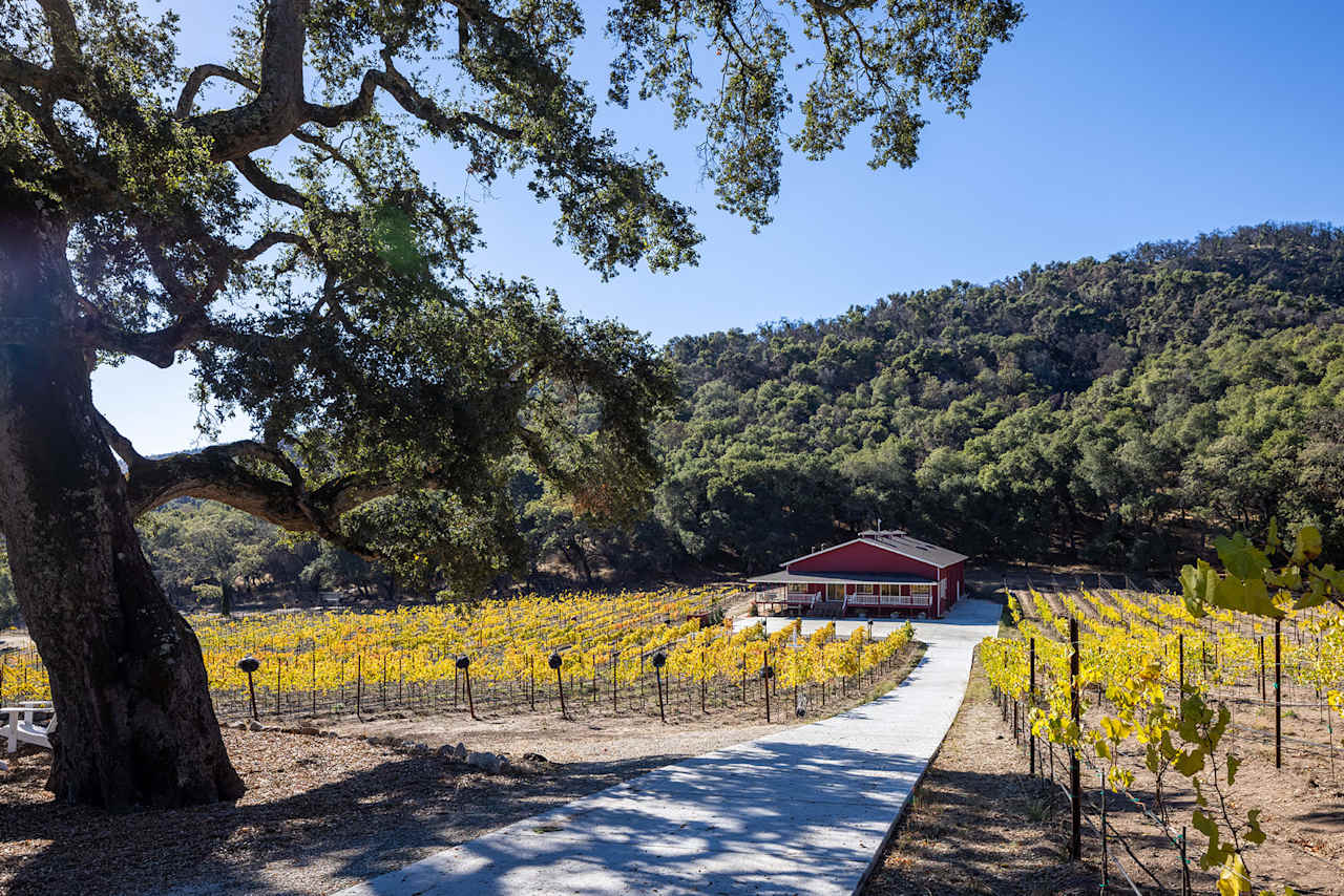 Tim Allen Properties | Carmel-By-The-Sea Real Estate Team