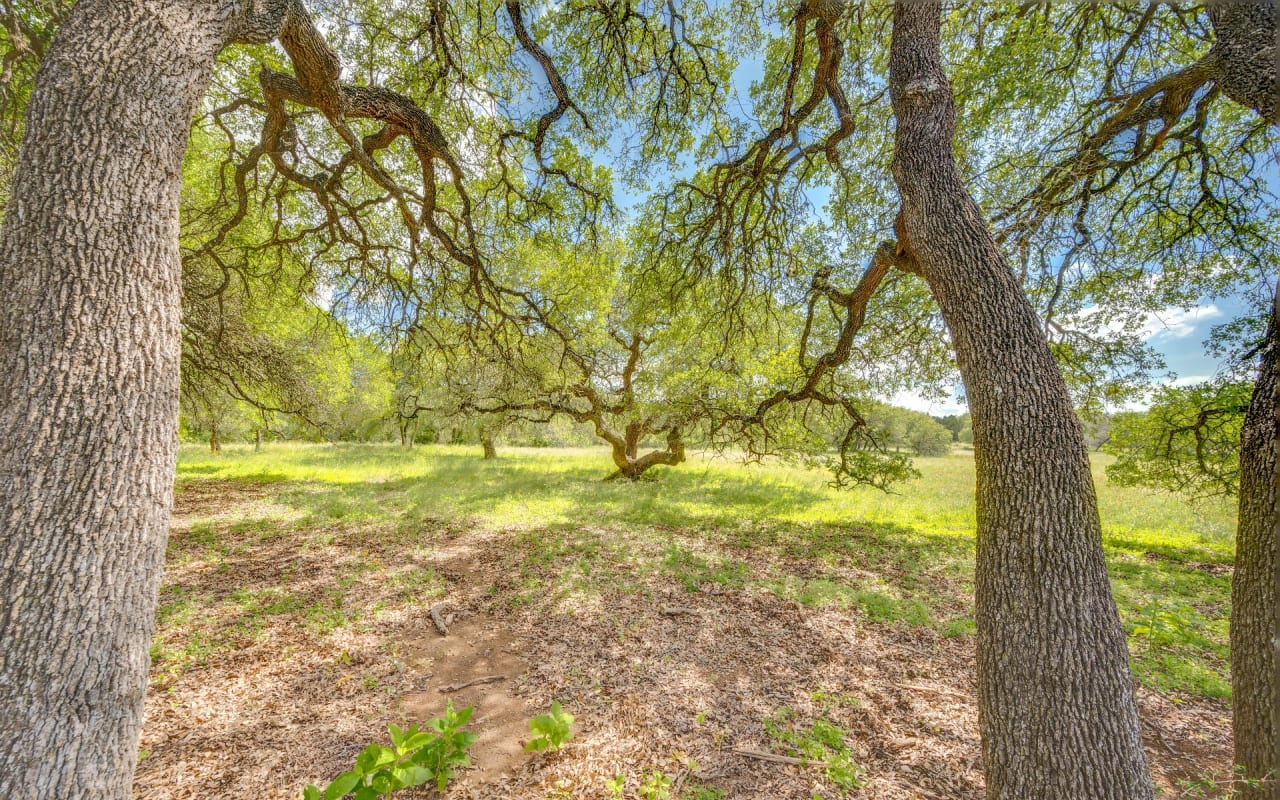 Photos | Ranches at Sentinel Park | The Veritas Group