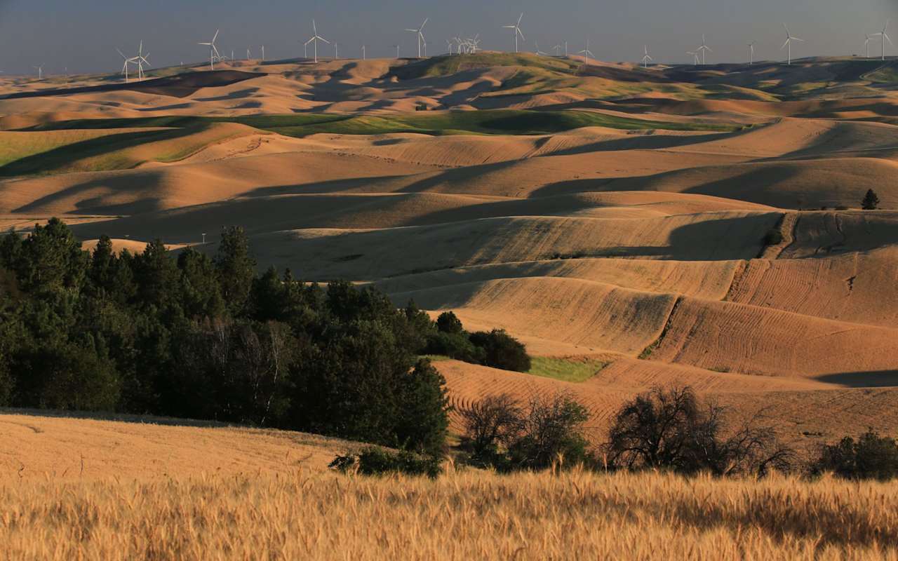 Neighborhoods | Pullman, WA Real Estate | Krista Gross