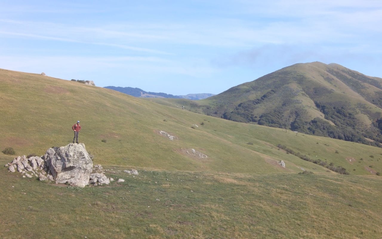 Gallery | Martinelli Ranch | Peter Maselli