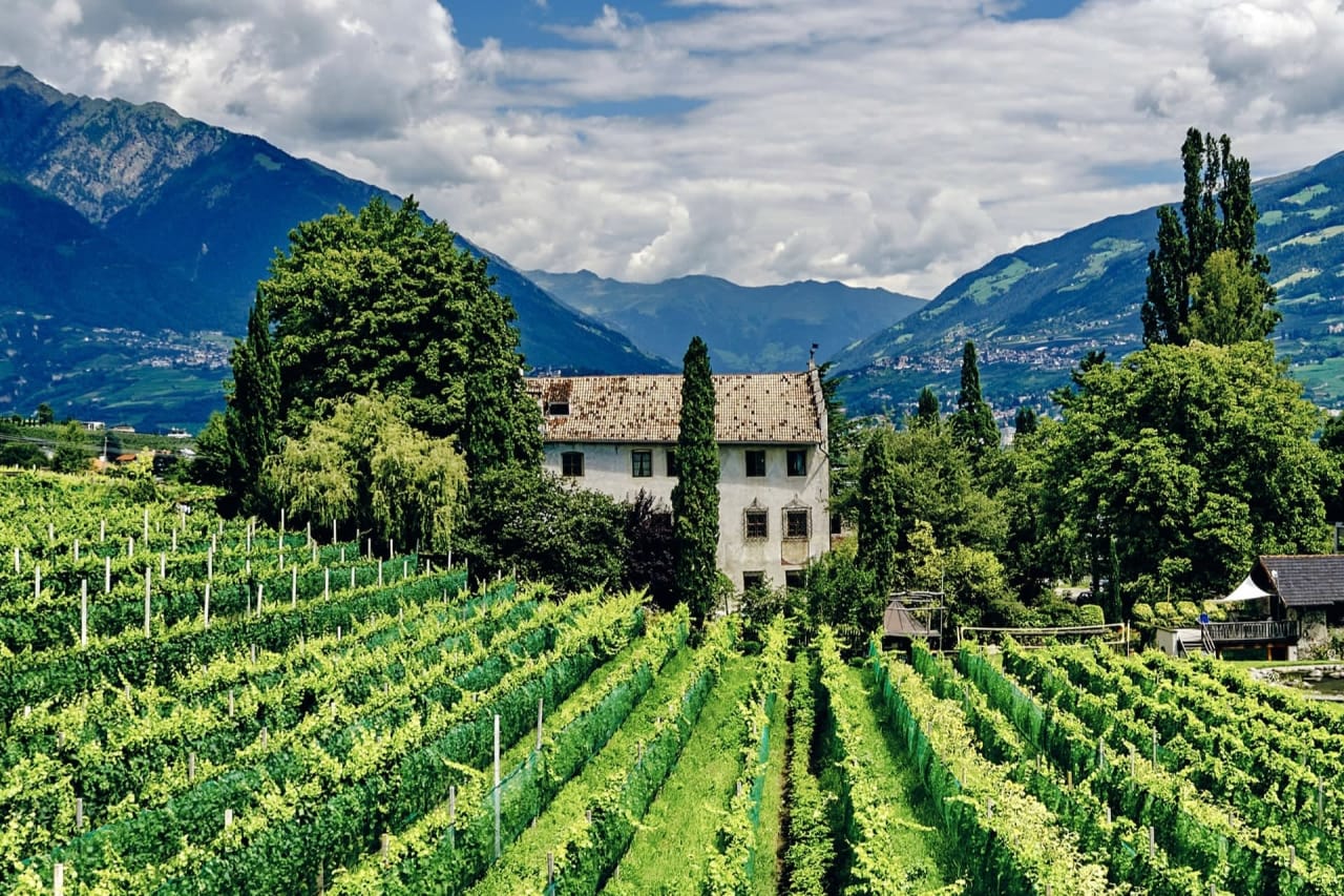 About Erin Lail | Coldwell Banker Brokers of the Valley | Napa Valley ...