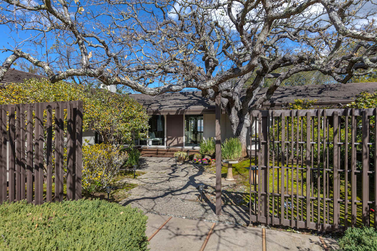 12953 W Sunset Drive | Los Altos Hills, CA 94022 | 5 Beds | David Bergman