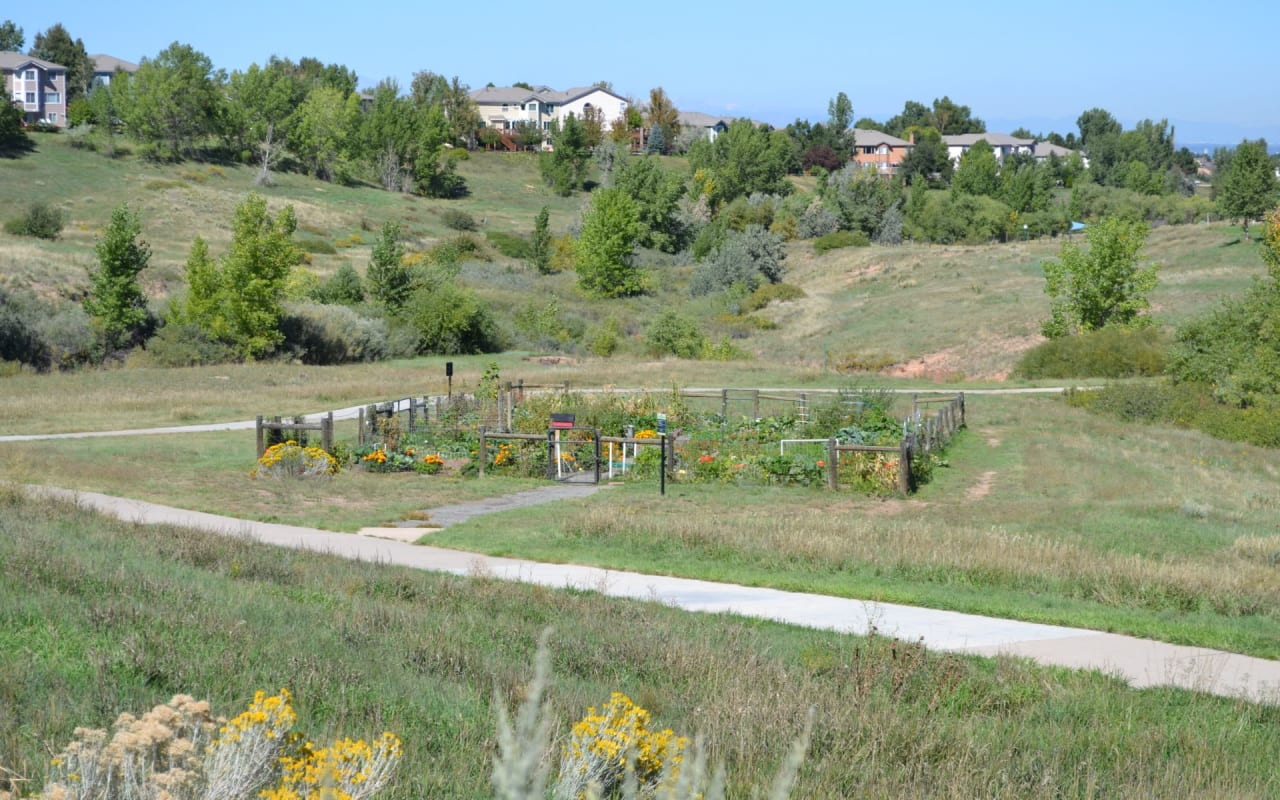 Dad Clark Park | Neighborhood Guide | Nicole Pinette