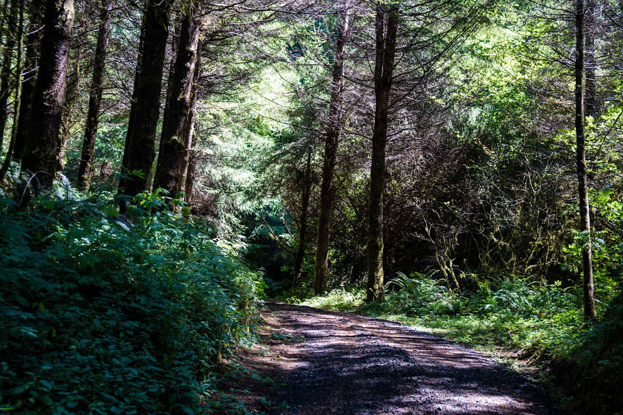 Eddyville/Sam's Creek Sealed Bid Offering (No Published Reserve)