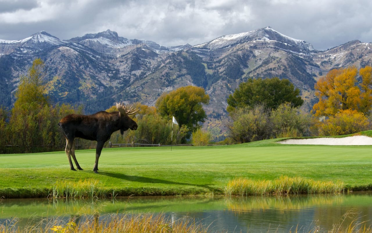 Colby Murphy | Jackson Hole Real Estate Agent