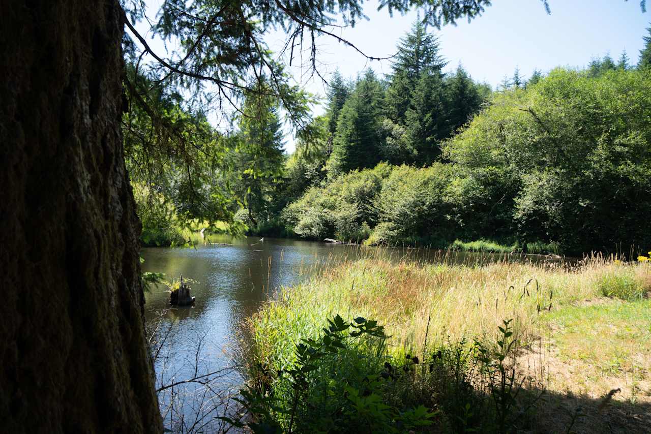 Eddyville/Sam's Creek Sealed Bid Offering (No Published Reserve)