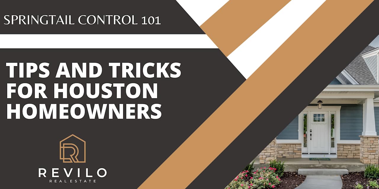 Springtail Control 101: Tips And Tricks For Houston Homeowners, Houston ...