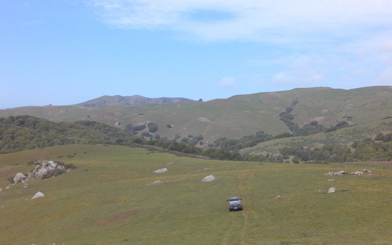 Gallery | Martinelli Ranch | Peter Maselli