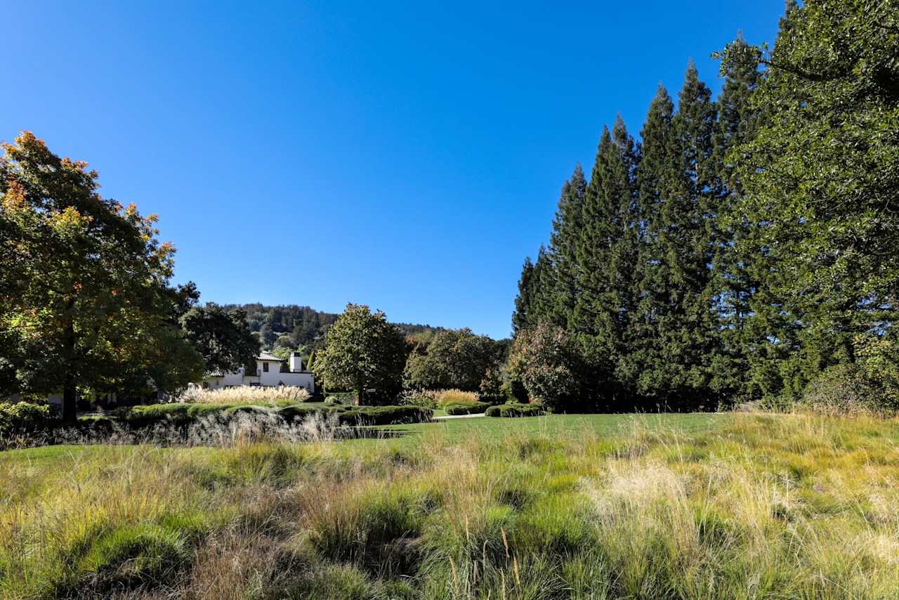 Alex Michas | REALTOR