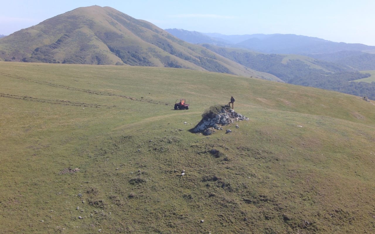 Gallery | Martinelli Ranch | Peter Maselli