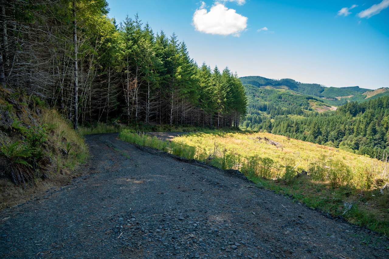 Eddyville/Sam's Creek Sealed Bid Offering (No Published Reserve)